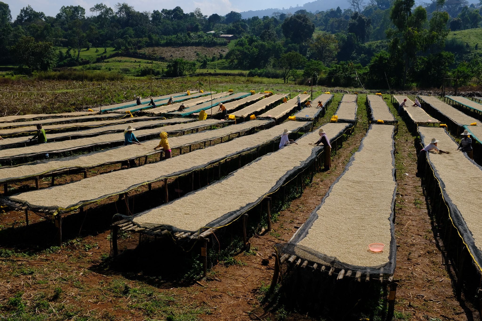 New: Kolla Bolcha - Ethiopia – Greater Goods Roasting