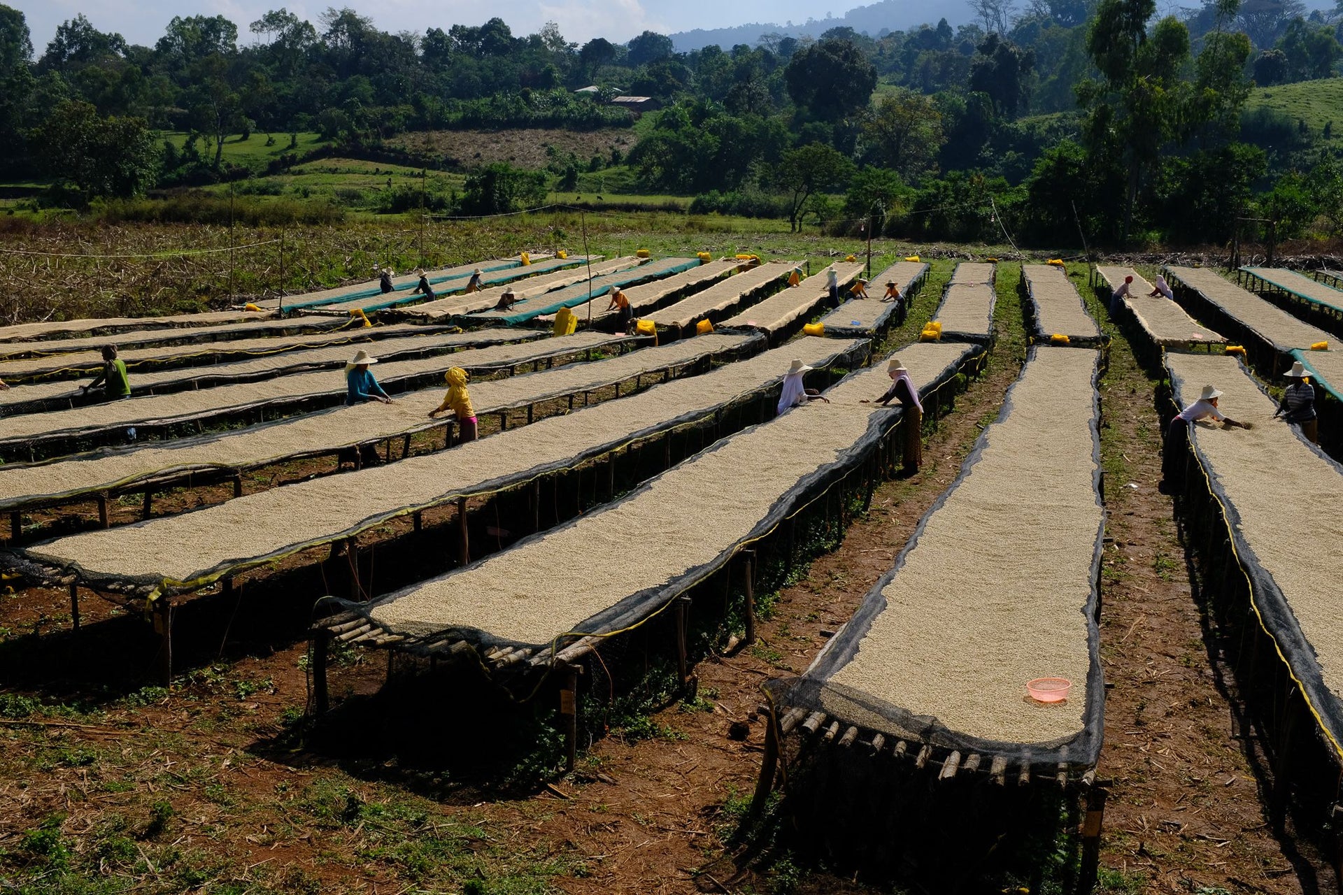 New: Kolla Bolcha - Ethiopia – Greater Goods Roasting